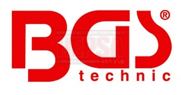 BGS